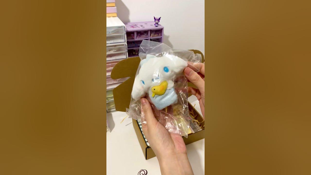 Episode 341 Sanrio Package 🤩😍 #sanrio - YouTube