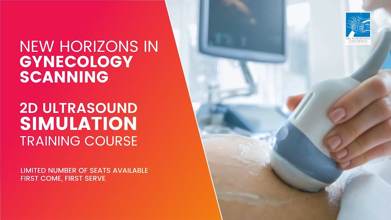 2D Ultrasound Simulation Training Course || New Horizons in Gynecology ...