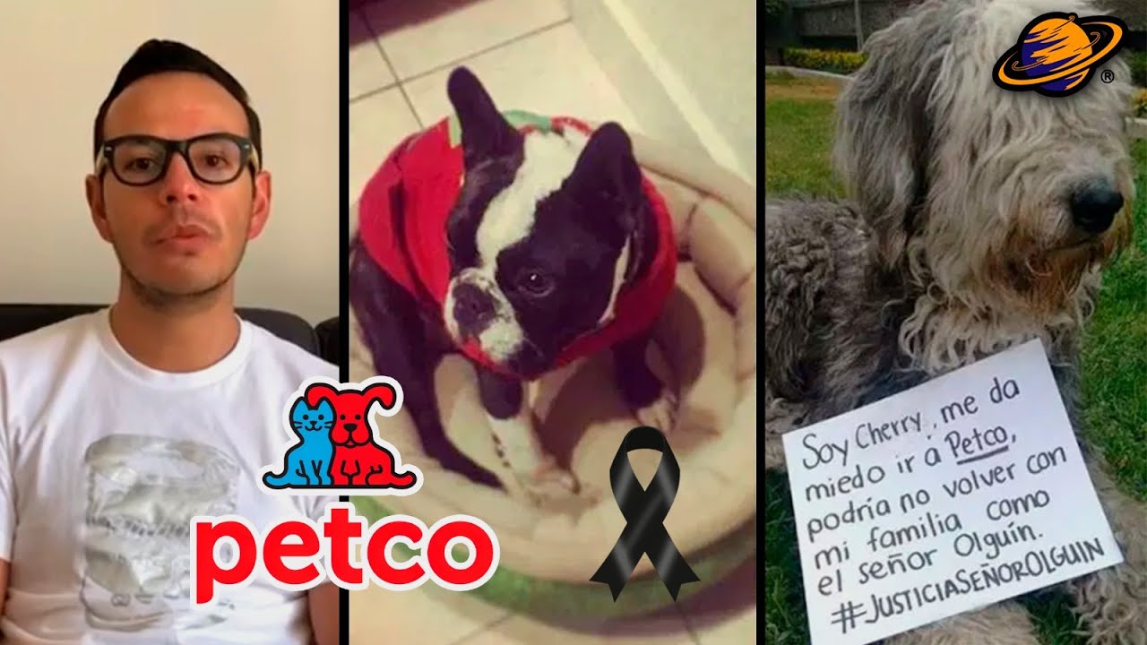 ¡TRAGEDIA EN TIENDA DE MASCOTAS! | Los SECRETOS de PETCO | ¿Que le ...