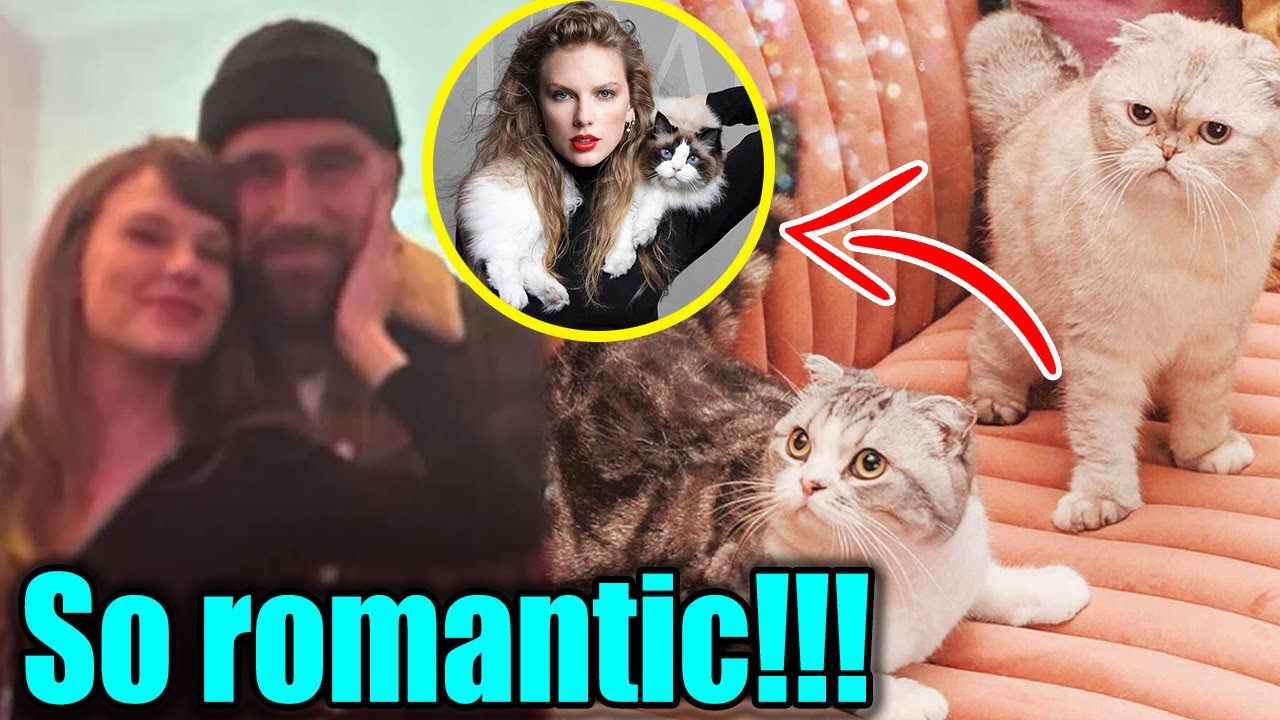 So Sweet! Travis Kelce 'Adds Room' for Taylor Swift's Pet Cat - YouTube