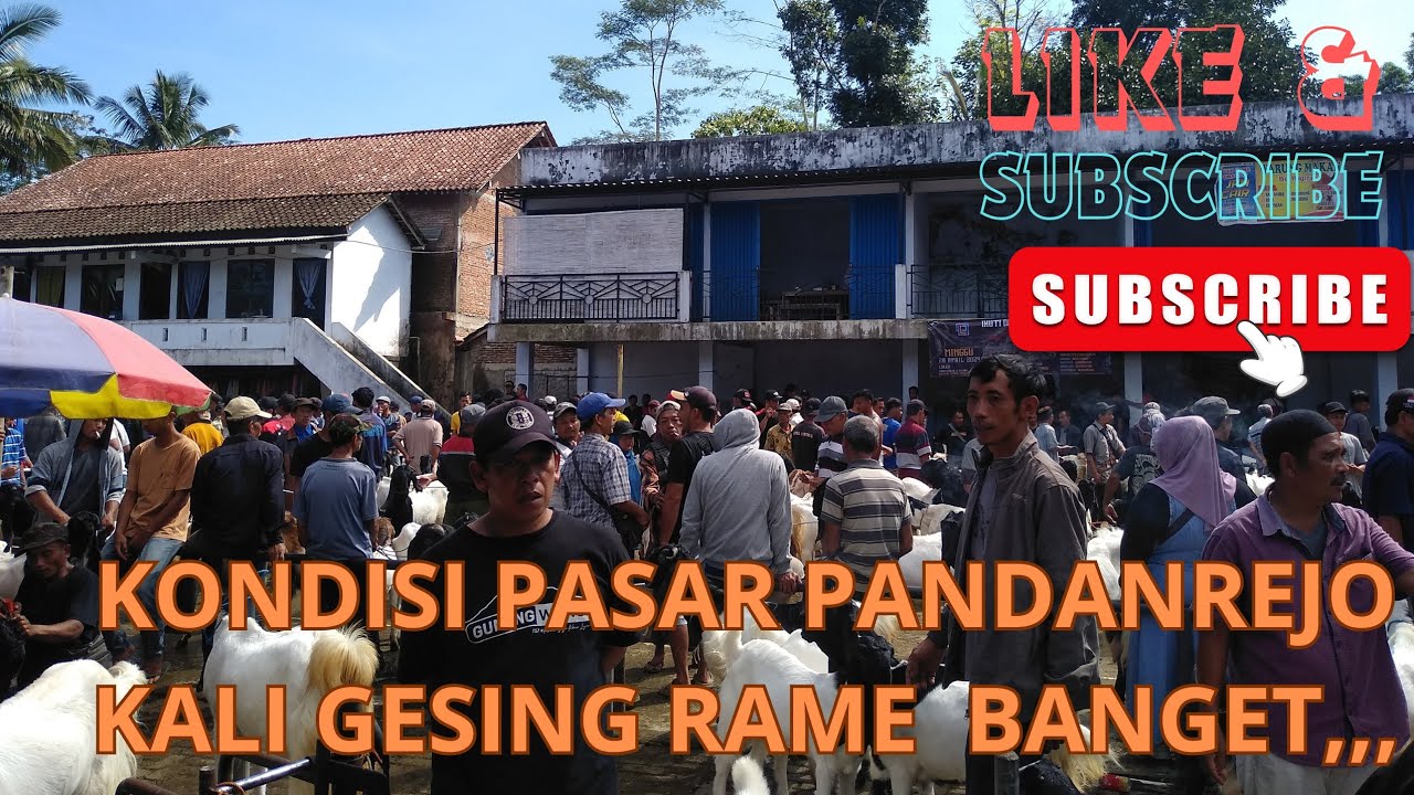 PASAR RAME PEDANGANG SENANG,,,pasar pandan rejo kali Gesing,,, - YouTube