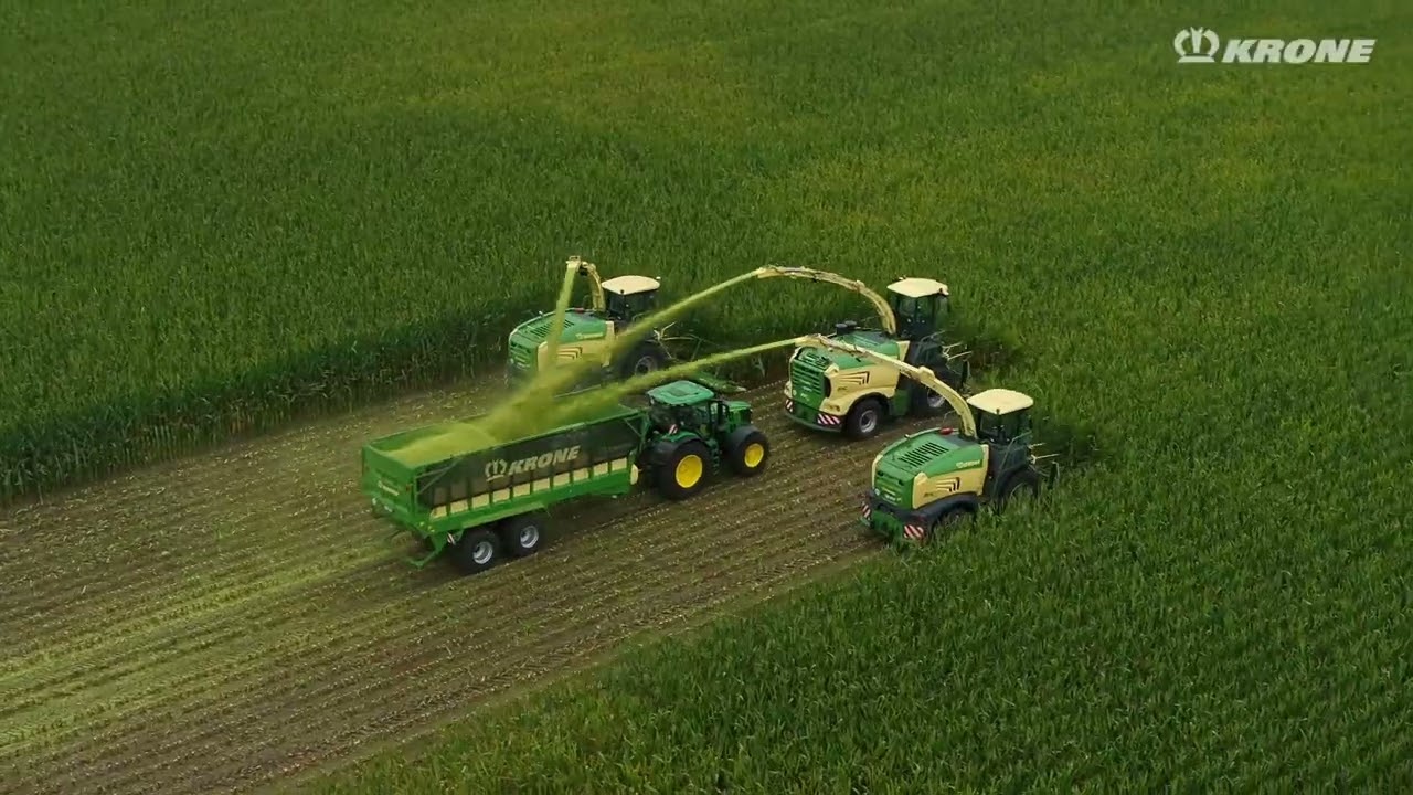 KRONE - The king of corn harvest - YouTube