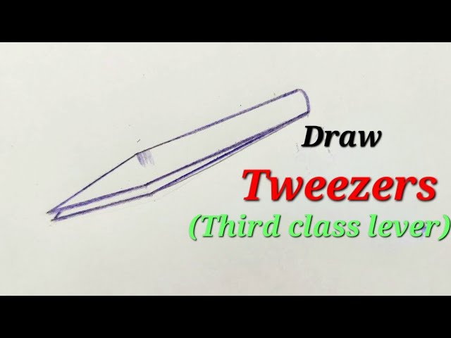Third Class Lever Tweezers Level 3 (35) Exercise And Fitness Knowledge