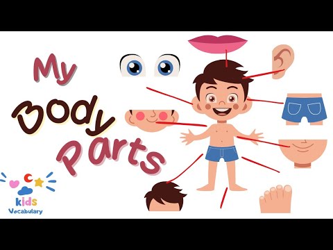 English Vocabulary| Parts of body| My body parts| Kids vocabulary ...