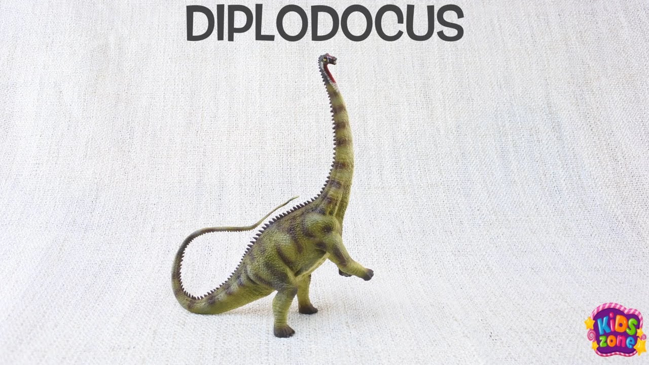 DIPLODOCUS FACTS! Fun & Educational For Kids Best Dinosaur Facts KIDS ...