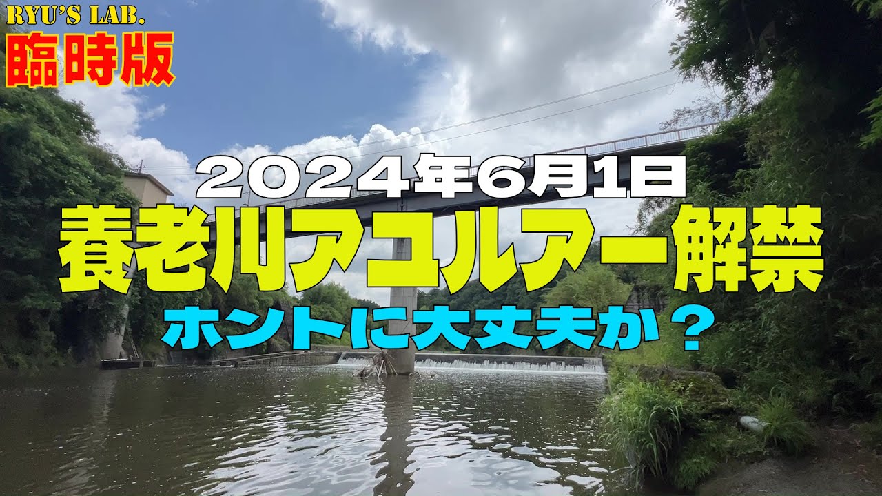 【アユイング】2024年6月1日 千葉県の養老川遂に解禁！ Ryu’s Lab. 臨時版 - YouTube