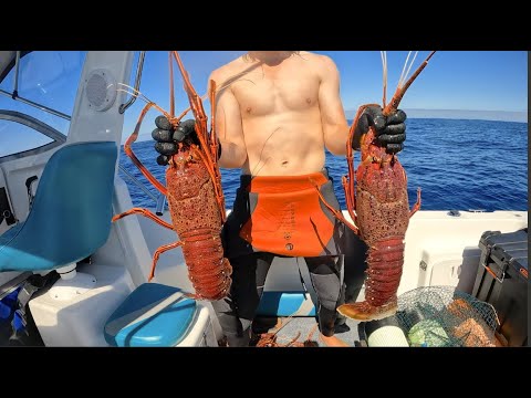The Jumbo Hole | Diving for Crayfish WA - YouTube