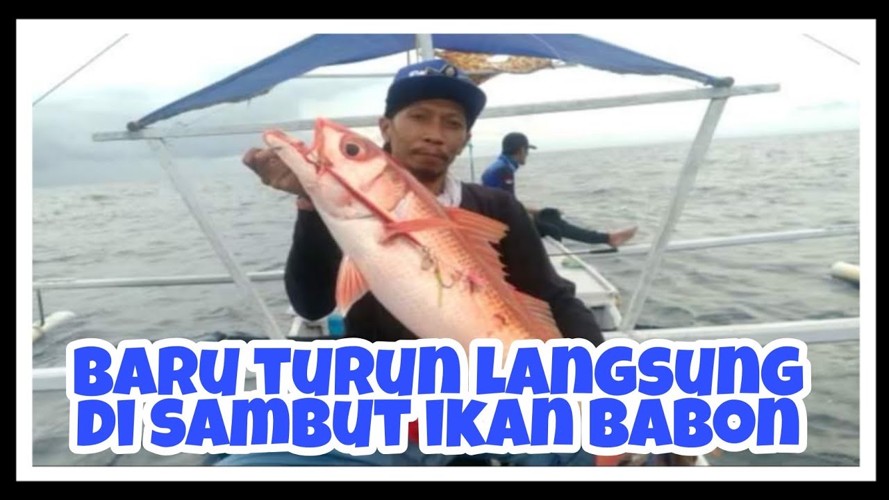 Sambutan mancing drifting memang Jooosss | Jigging kedalaman 180 mtr | Ruby Snapper | Jig 300 ...