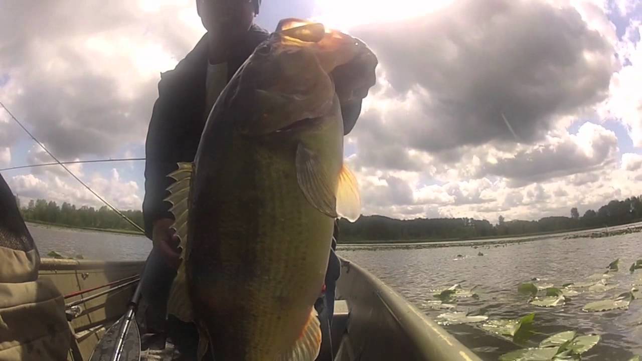 Pond Fishing For Largemouth Bass 2012 - YouTube