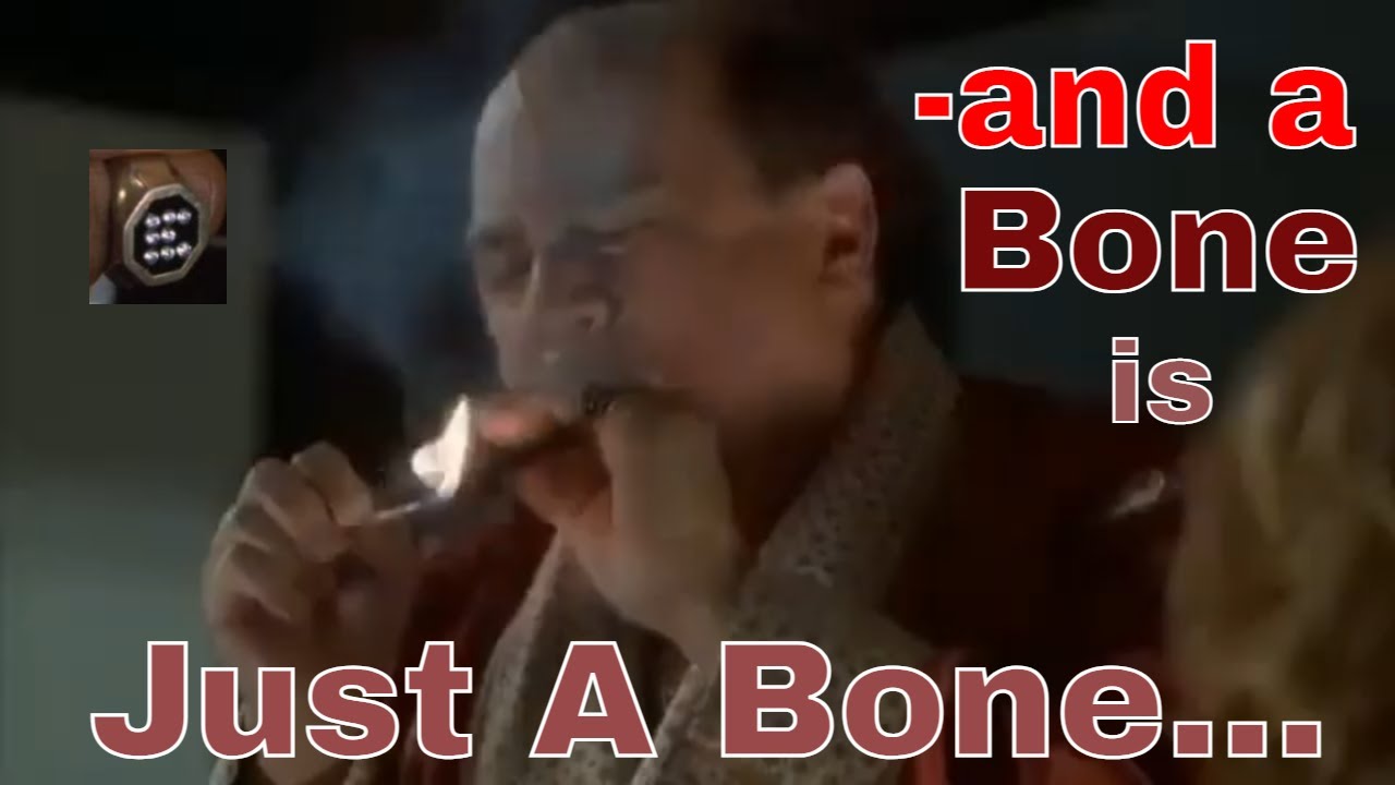 A Bone Is Just A Bone! - What's The Worst That Could Happen? - YouTube