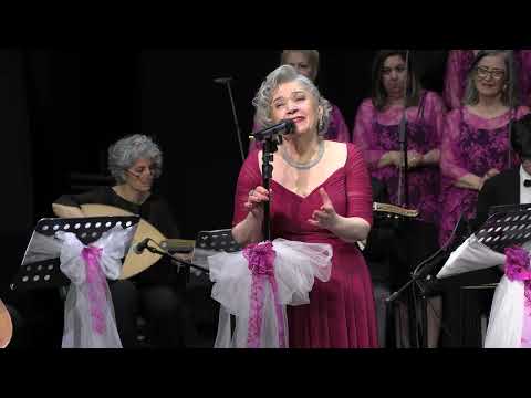 Ayşe Taş - Son ümidim de bitti