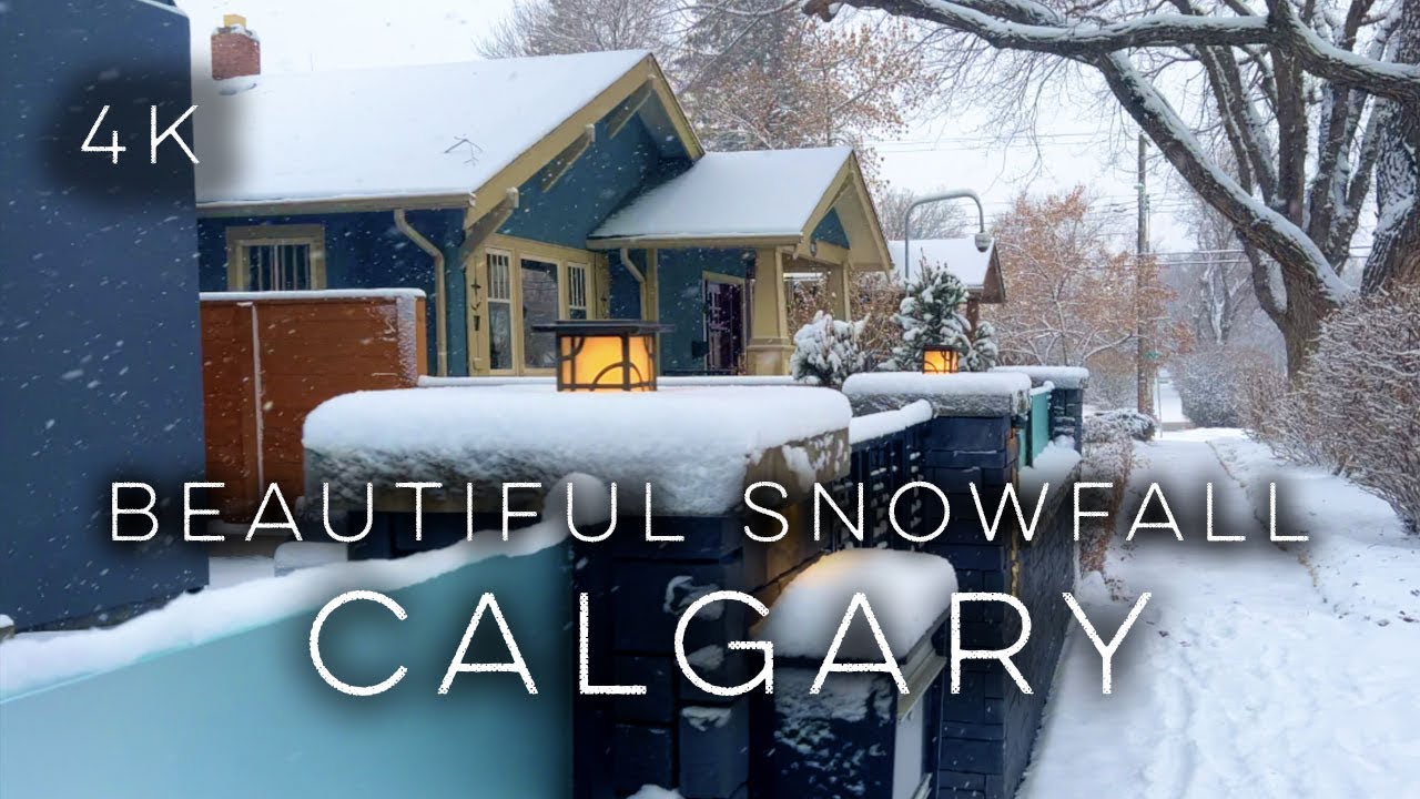 【4K】Calgary, Beautiful Snowfall ️ ️ |Crescent Heights |Canada # ...