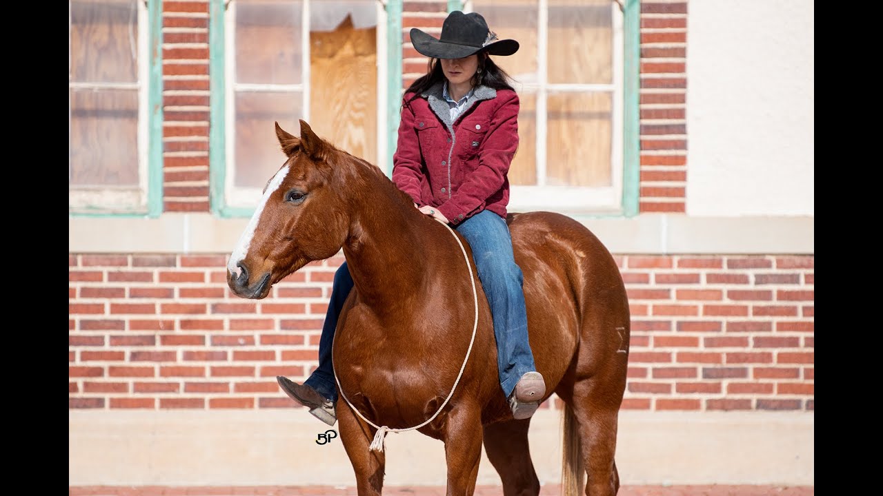 Lot #2 CR Rey Royalty @Premier online sales - YouTube