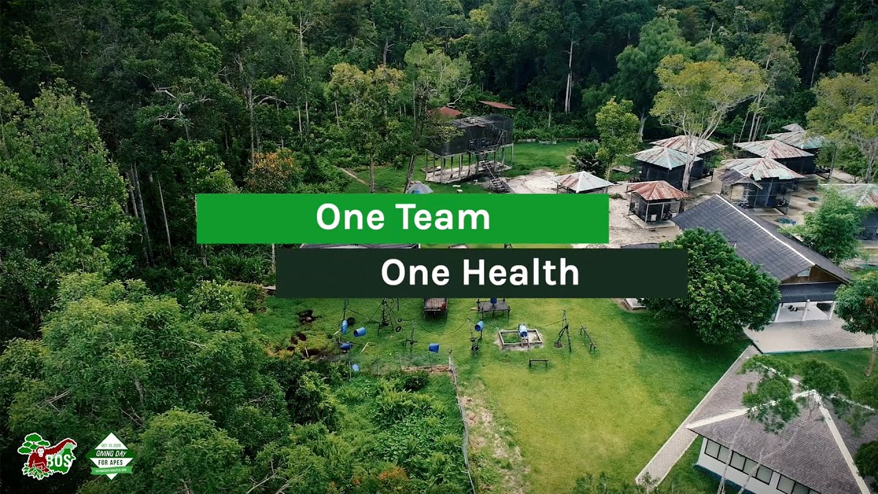 ONE TEAM, ONE HEALTH - YouTube