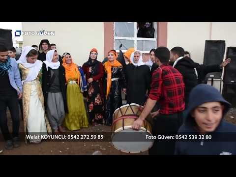 Şevko 2019 yeni kavallarla