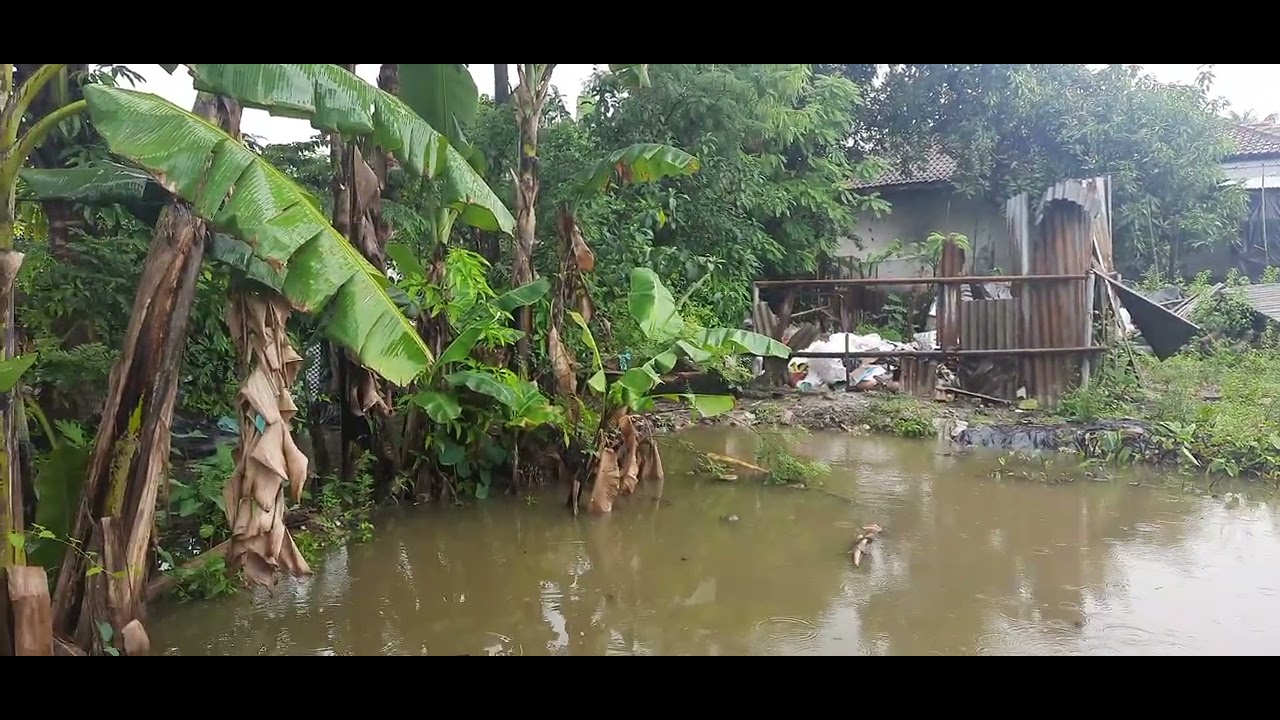 MENANGKAP LELE DI RAWA - YouTube