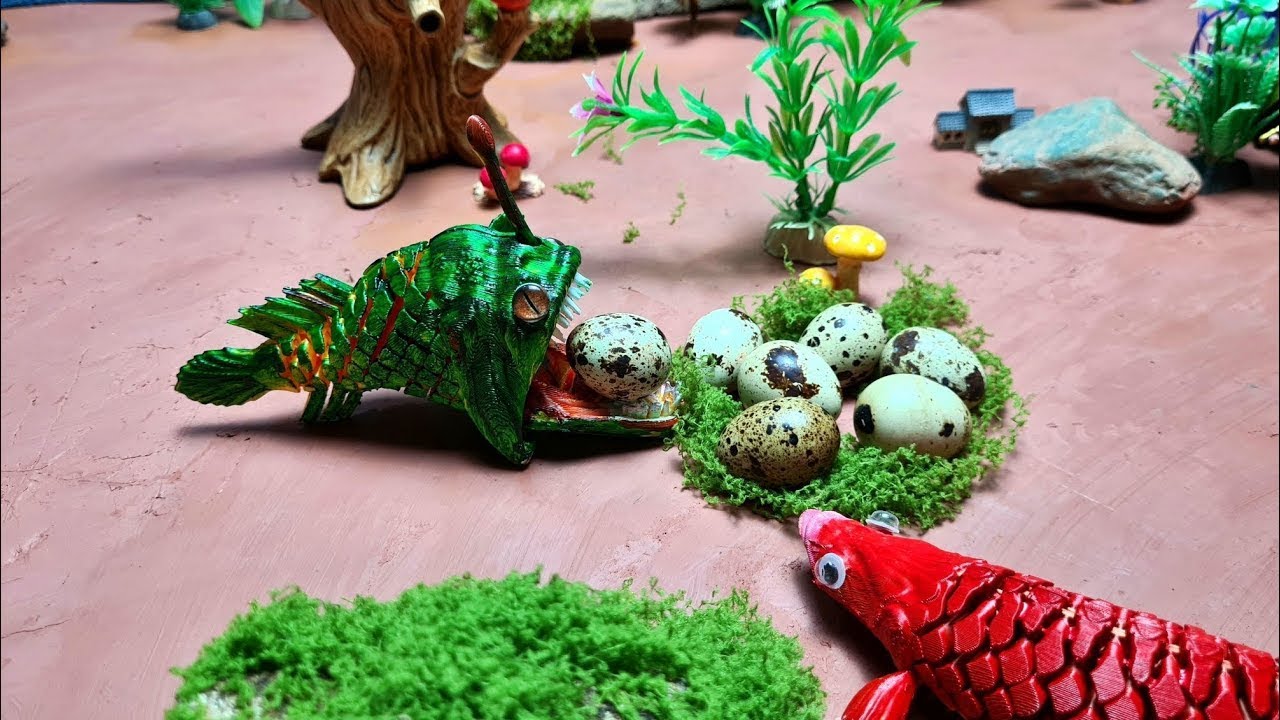 Stop Motion ASMR: Video about Fish, Shrimp, Worms - Full Video - YouTube