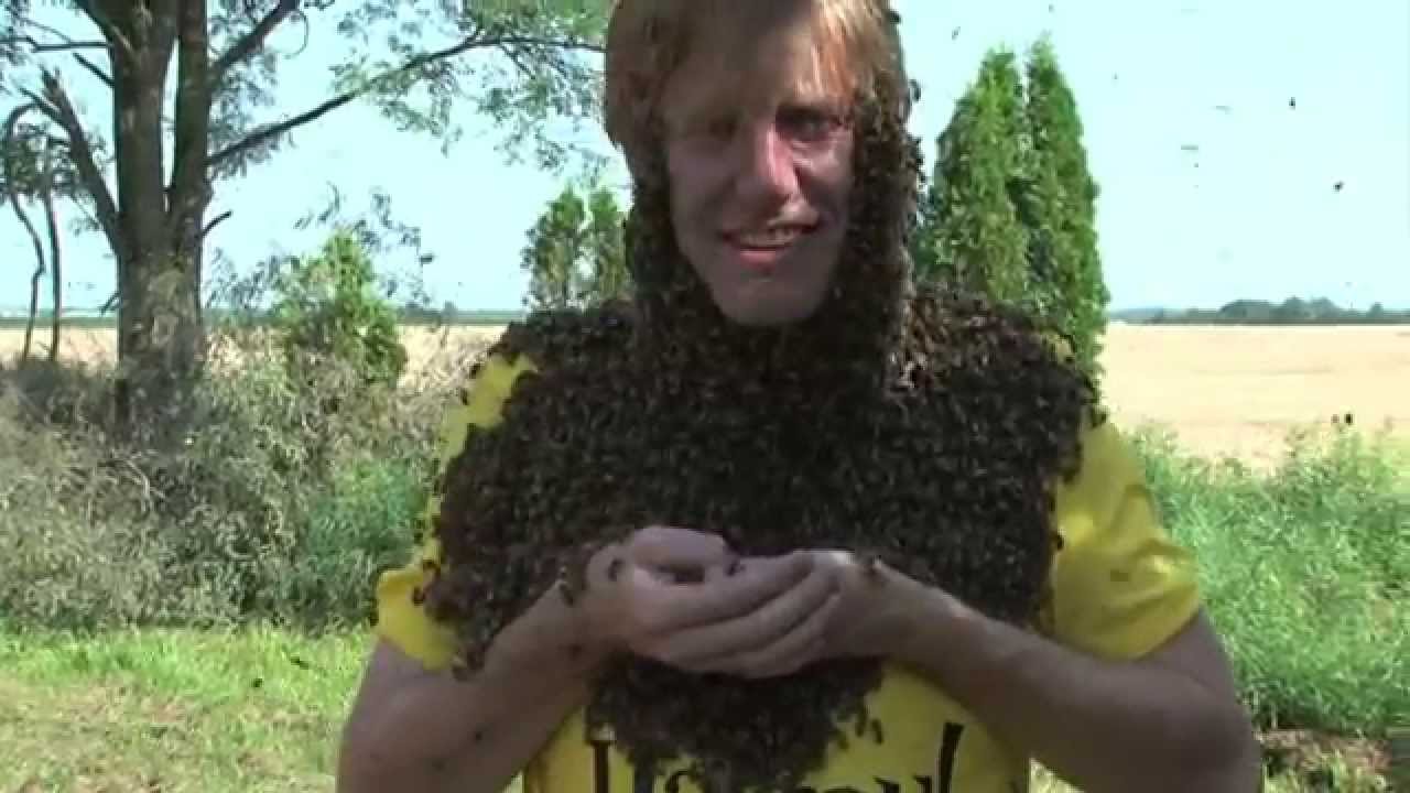 Mark Robinson and George Kourounis model "bee beards" on The Weather Network - YouTube