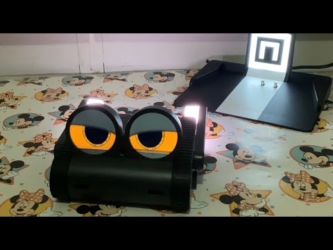 Doly AI Powered Companion Robot: Loona Interaction, Explore Mode ...