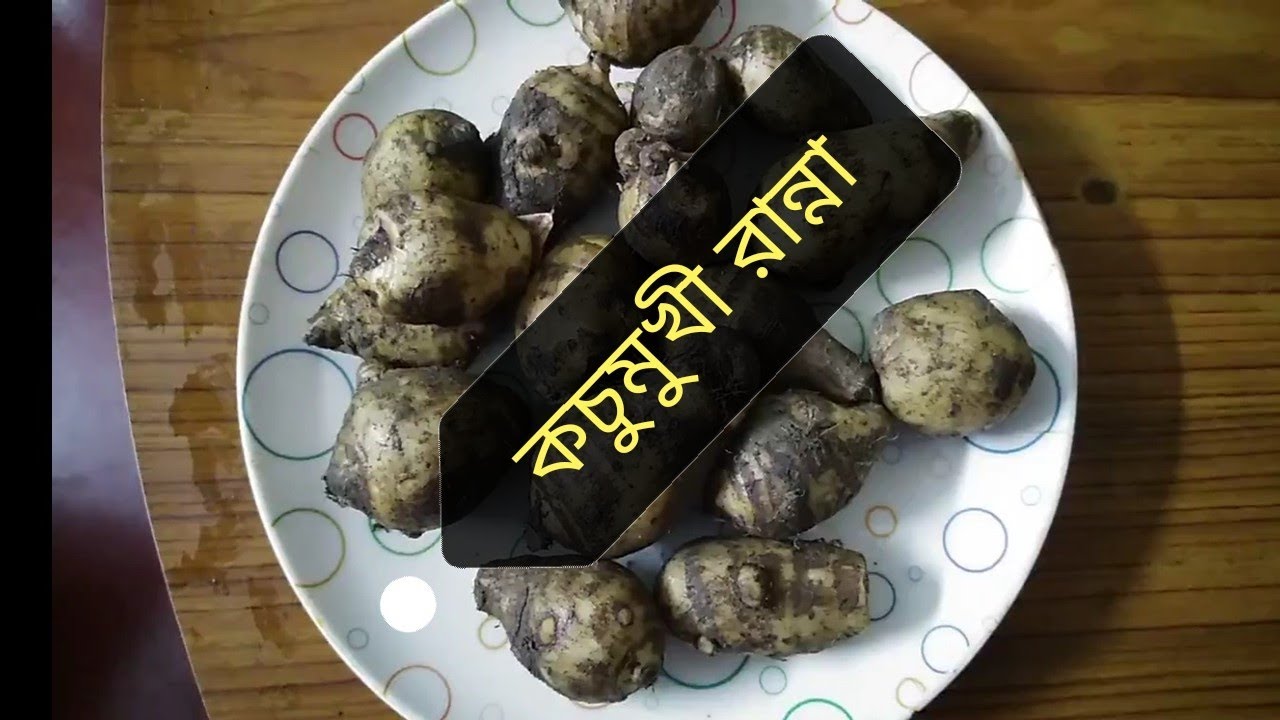 Kochu Mukhi With Prown Recipe || কচু মুখী দিয়ে চিংড়ি ঝোল। - YouTube