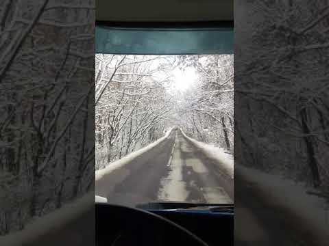 volvo tırla yolculuk. gezelim görelim.