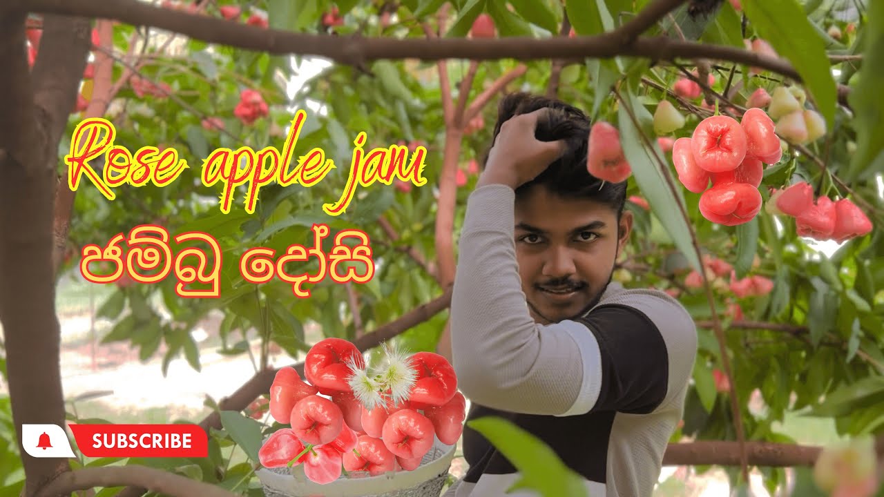 Rose apples candy jam | ජම්බු දෝසි | making sweetness rose apple jam by ...