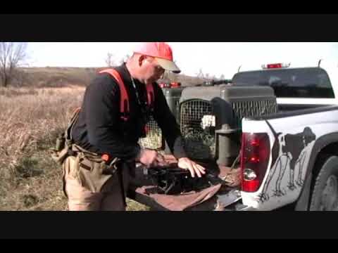 DT Systems BL509 Bird Launcher Video by Pointer Supply - YouTube
