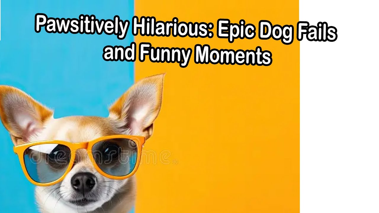 Pawsitively Hilarious: Epic Dog Fails and Funny Moments - YouTube