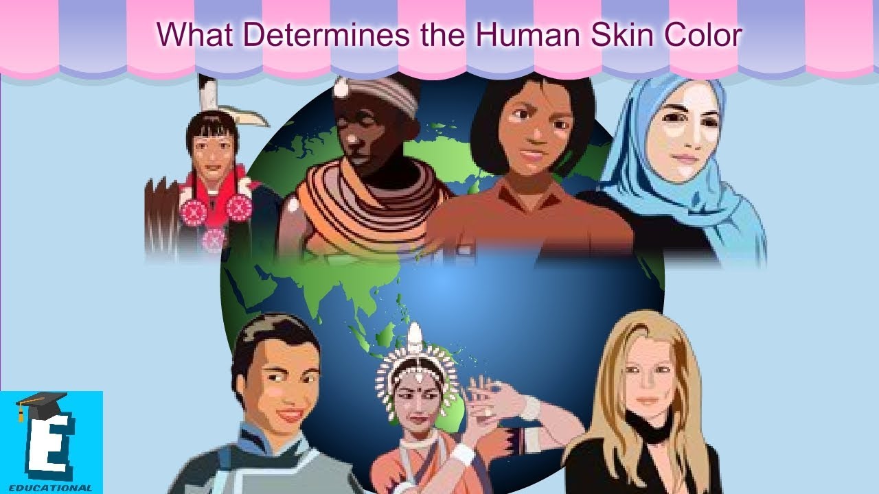 What Determines The Human Skin Color Lear for Children and Kids ...