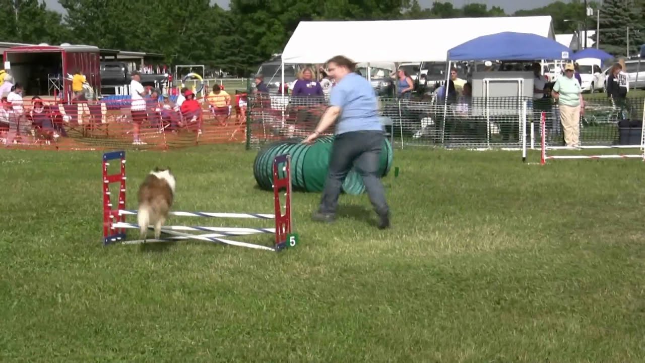 Nina CPE Agility Nationals Snooker 6/12/11 - YouTube