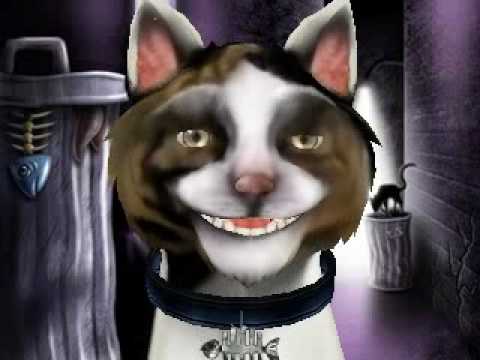 Cat Dude: Arne and Tharin productions - YouTube