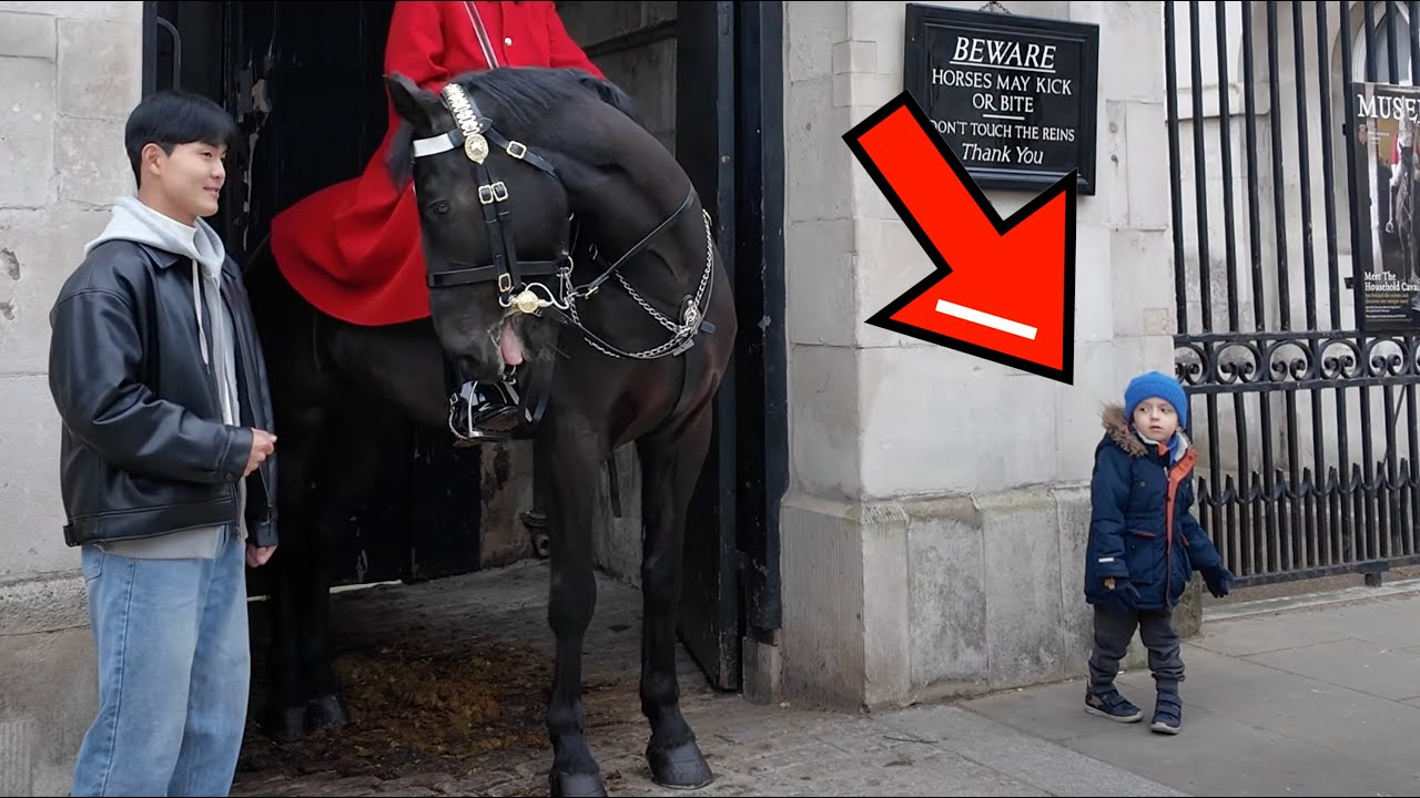 FREEZE!! Little Boy too SCARED to MOVE!! - YouTube