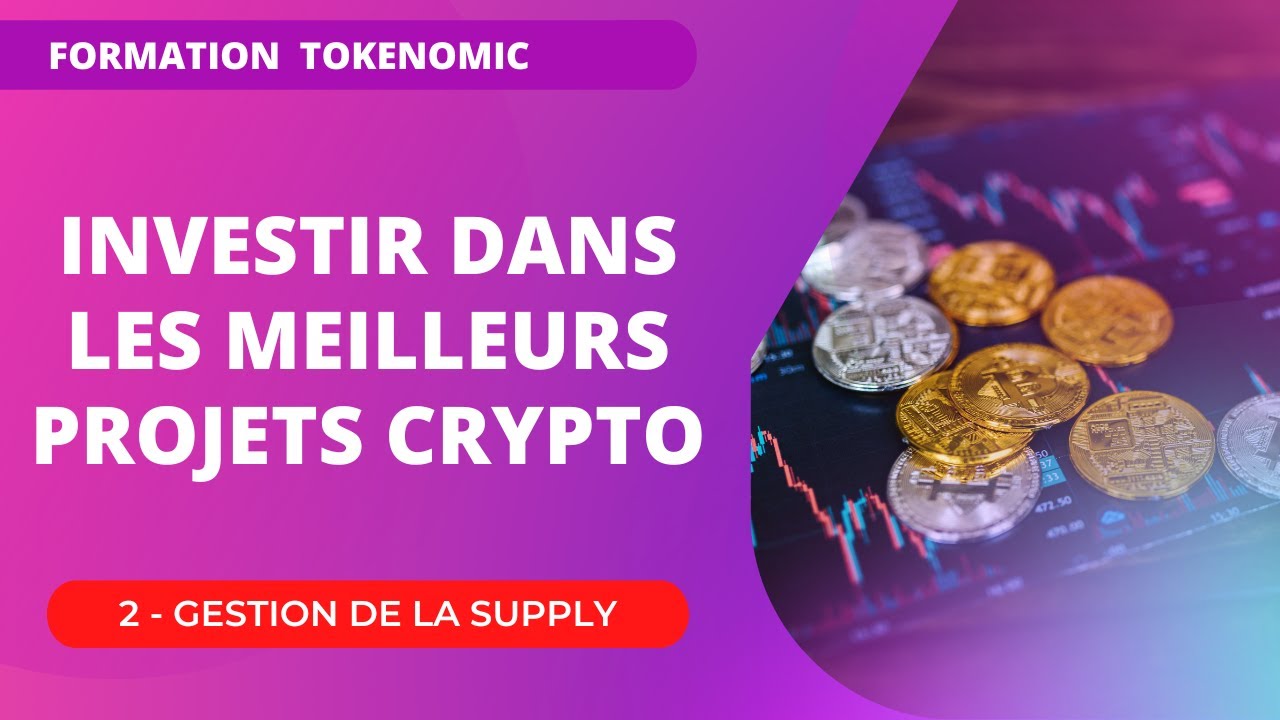 Formation : Investir dans les meilleurs projets crypto - Tokenomic Supply (2/3) - YouTube