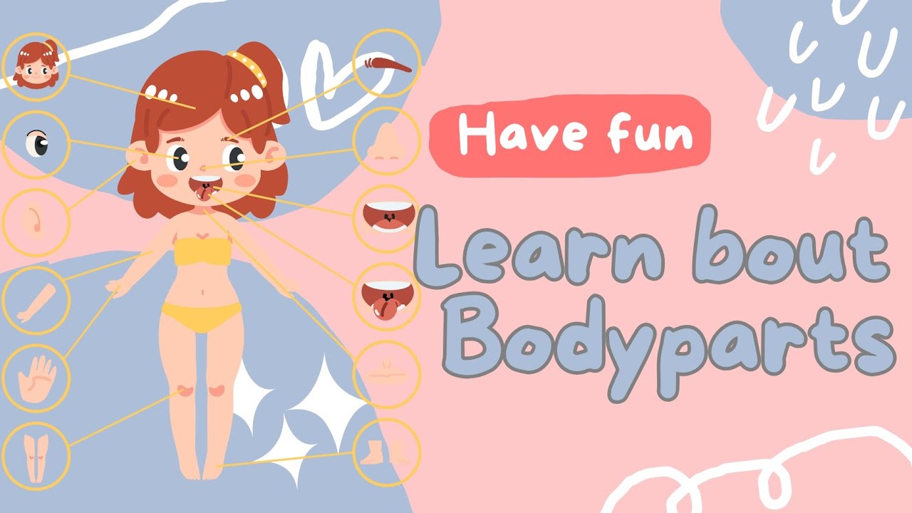 Let's Learn Body Parts in English Together! / تعليم الاطفال أعضاء الجسم ...