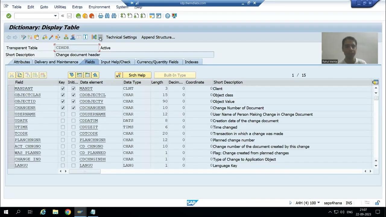 36 - Additional ABAP Concepts - Change Document Log for Z Tables Part8 - YouTube