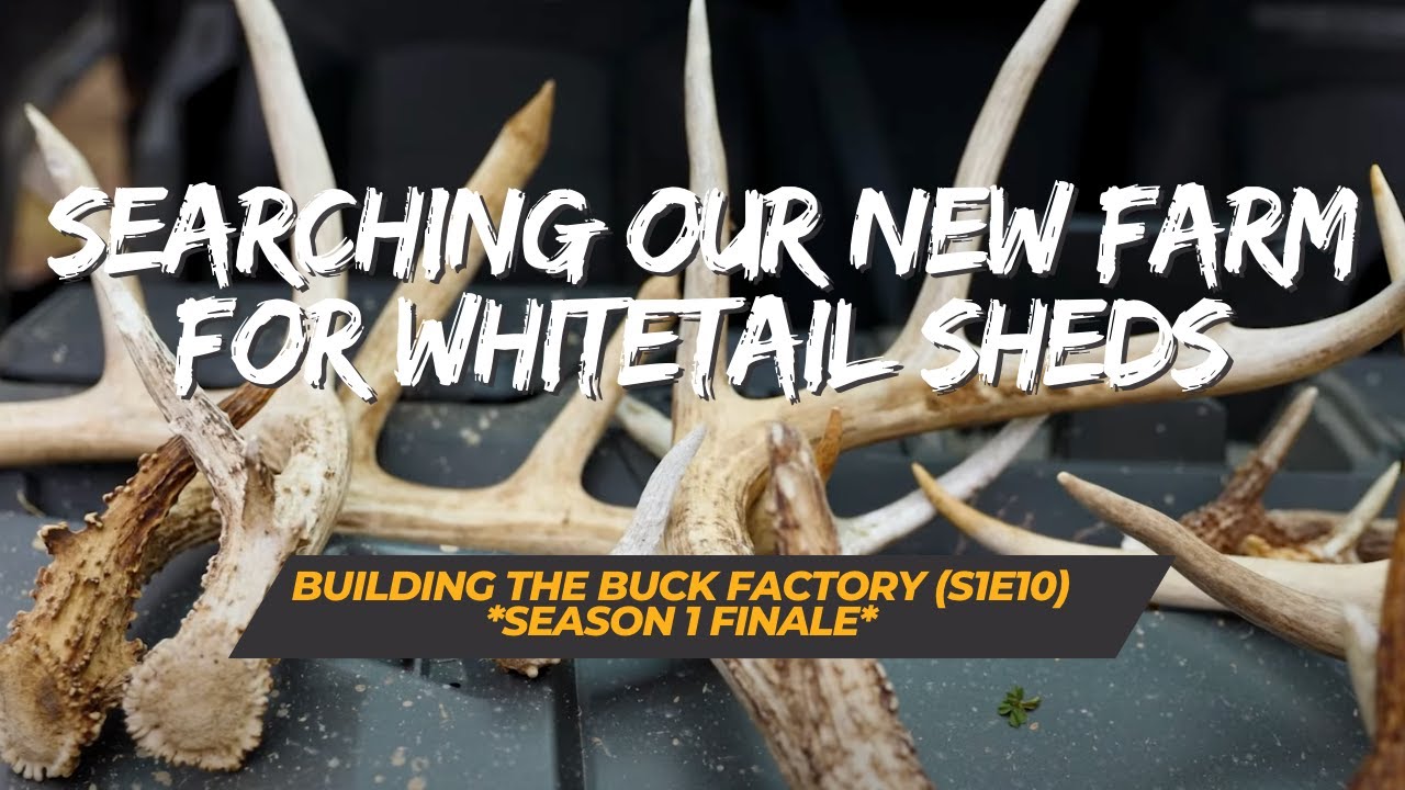SEARCHING OUR NEW FARM FOR WHITETAIL SHEDS || Building the Buck Factory ...
