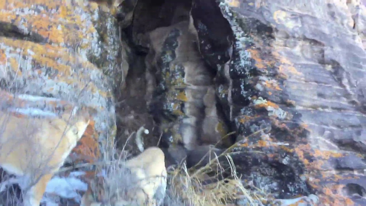 Exploring Caves YouTube exploring-caves-youtube