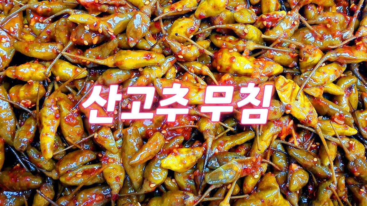[간단 밑반찬] 산고추 무침~ 새콤달콤매콤!! 너무 맛있어요~👍👍 - YouTube