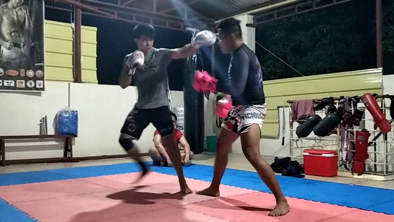 Golden T-rex vs T-rex Boy - YouTube