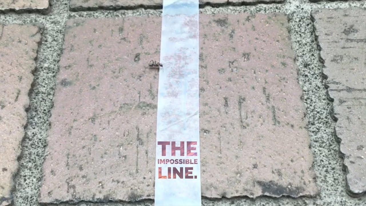 THE IMPOSSIBLE LINE YouTube the-impossible-line-youtube