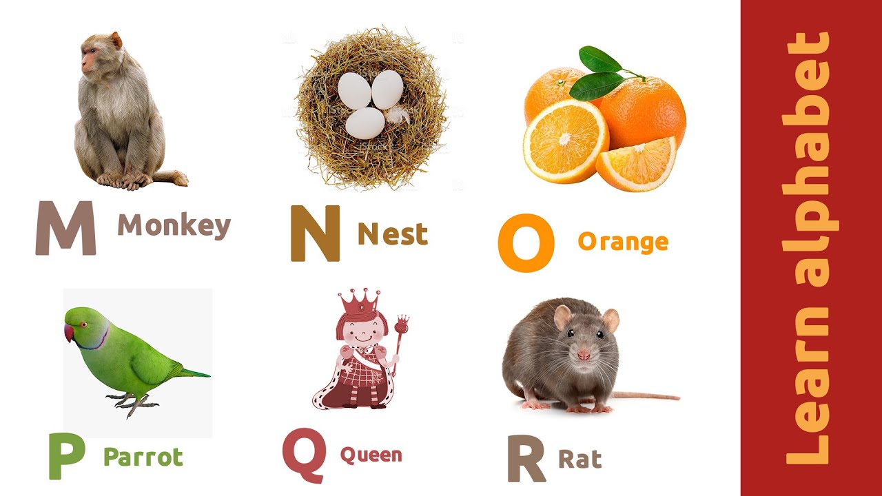 Learn alphabets with images for kids | Alphabets for kids | Kids ...