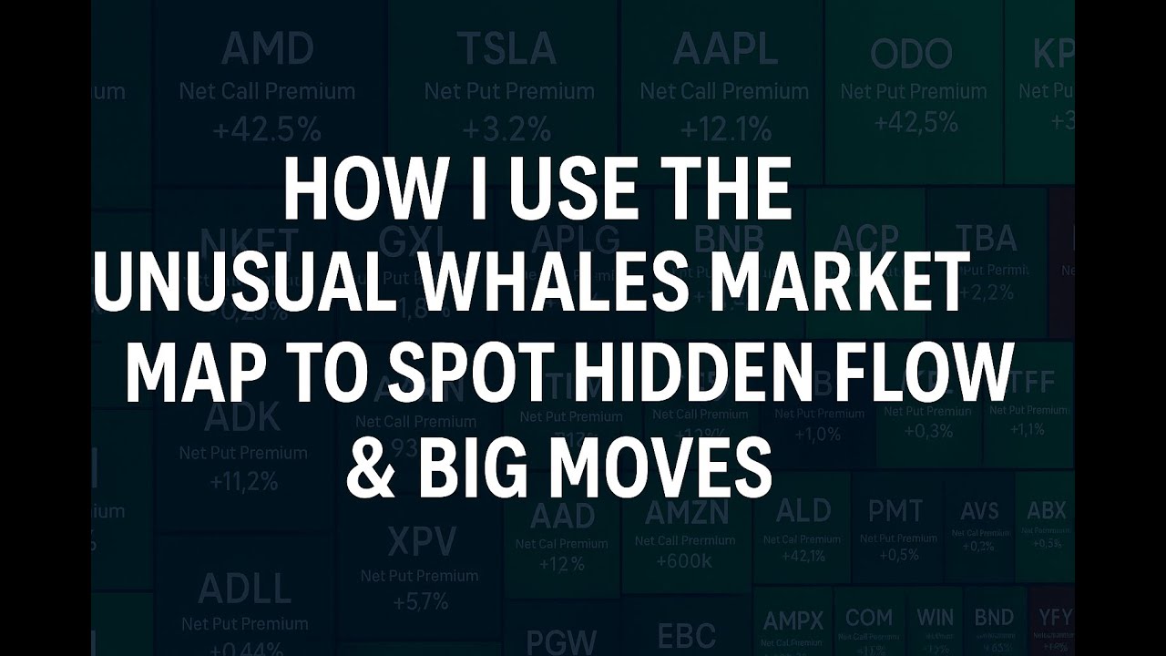 How I Use the Unusual Whales Market Map to Spot Hidden Flow & Big Moves ...