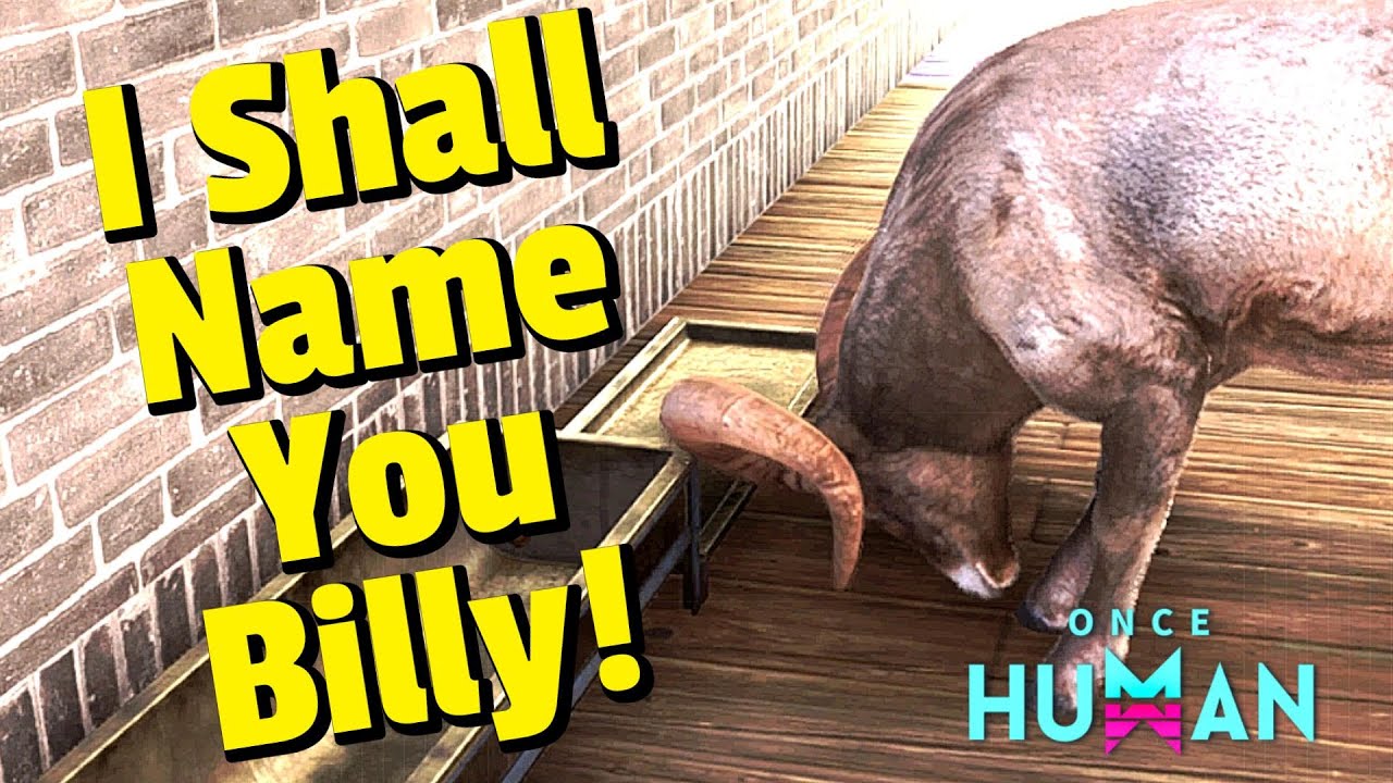 We Tamed a Billy Goat! - Let's Tame More! - Once Human - YouTube