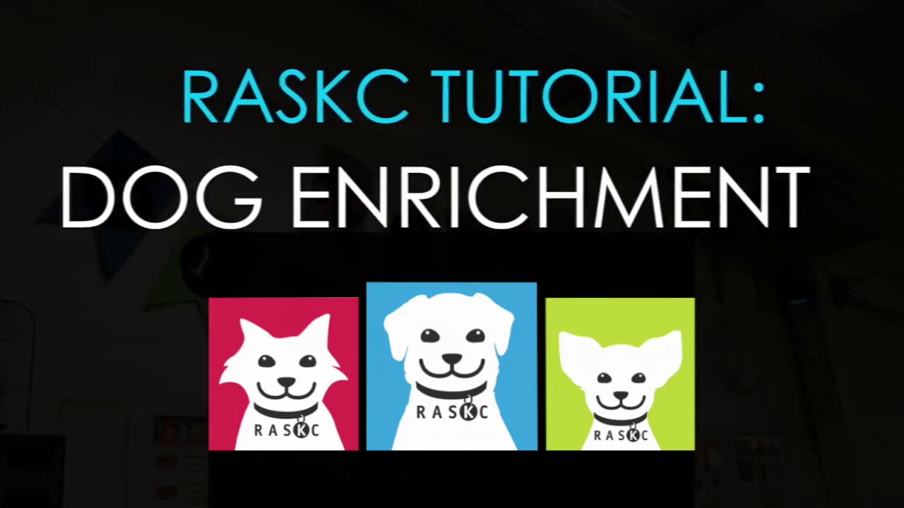 RASKC Tutorial: Dog enrichment - YouTube
