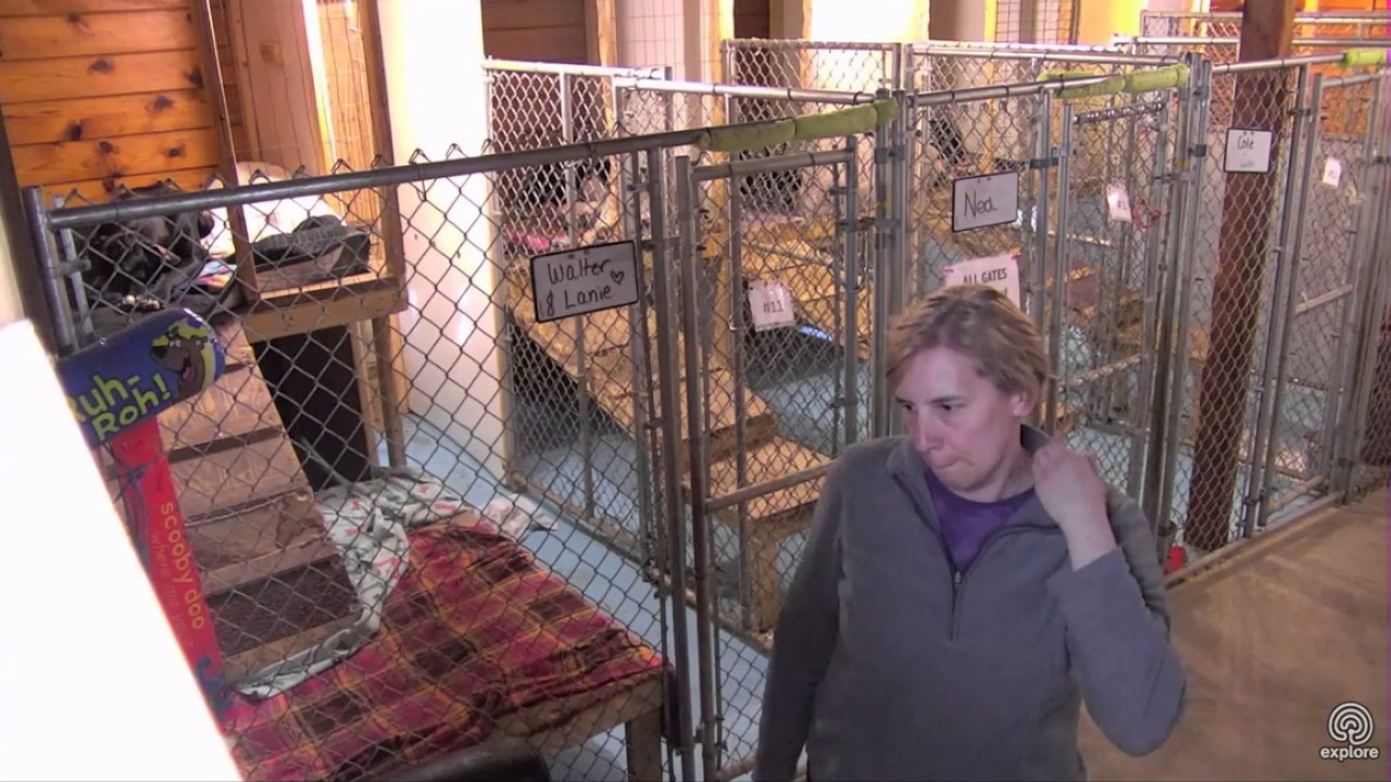 Arena cam Walter Lainie to 120pm 522017 - YouTube