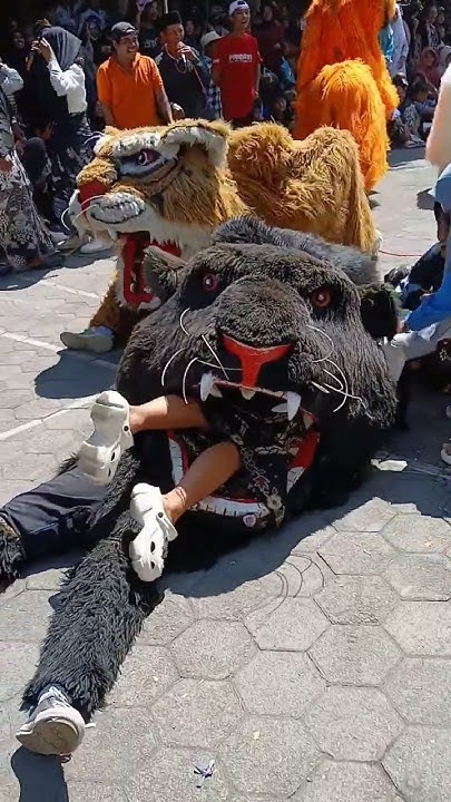 cewek cantik dimakan can macanan #shorts - YouTube