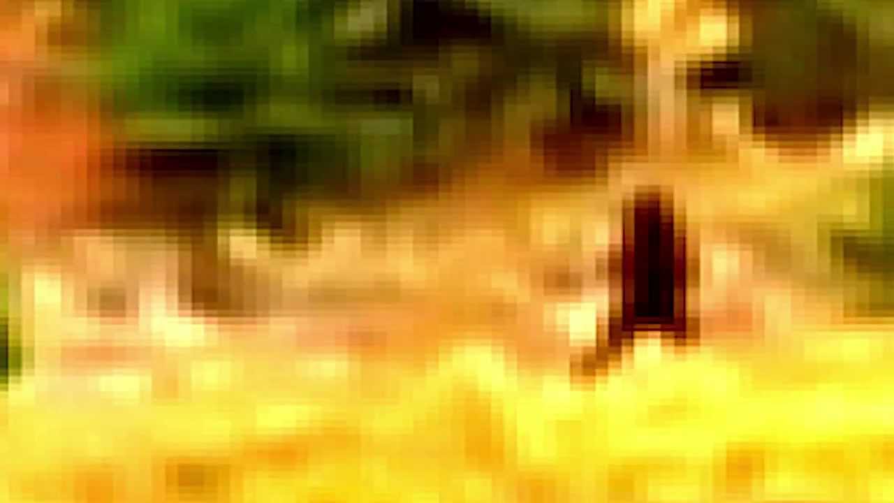 Pixel Sasquatch - YouTube