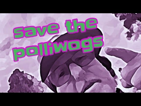 Save the Polliwogs , catch and release - YouTube