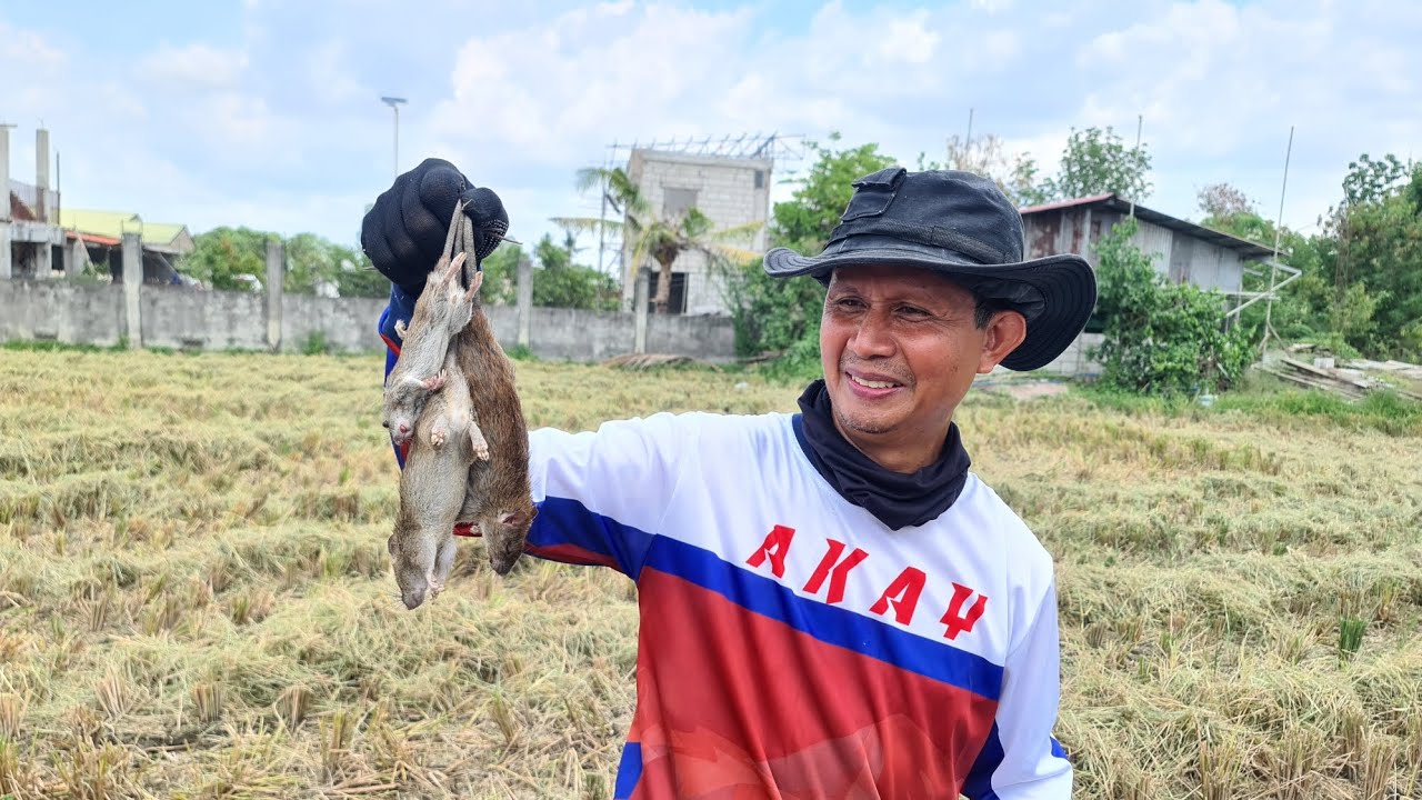 Adobong Dagang Bukid | Catch and Cook | Pinoy Foodie ...