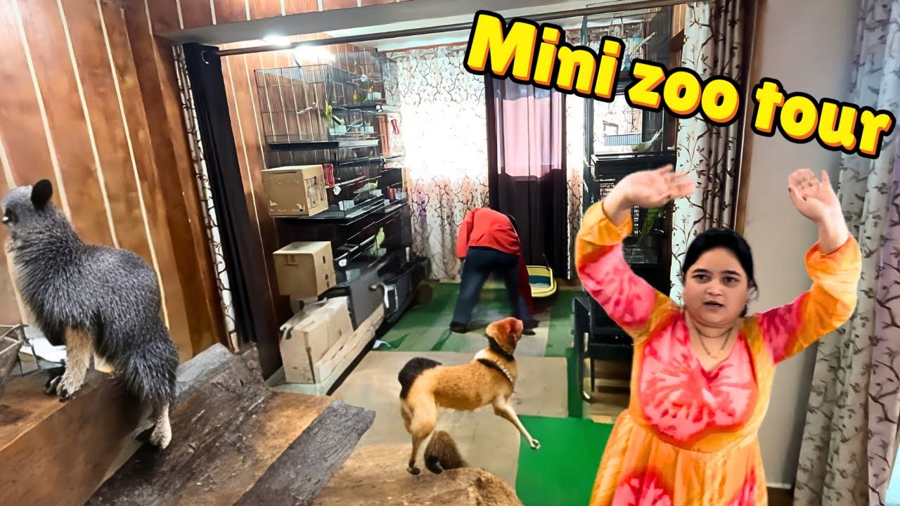 @sonaliparrot ka mini zoo tour 😍 #minizoo || vlog - YouTube